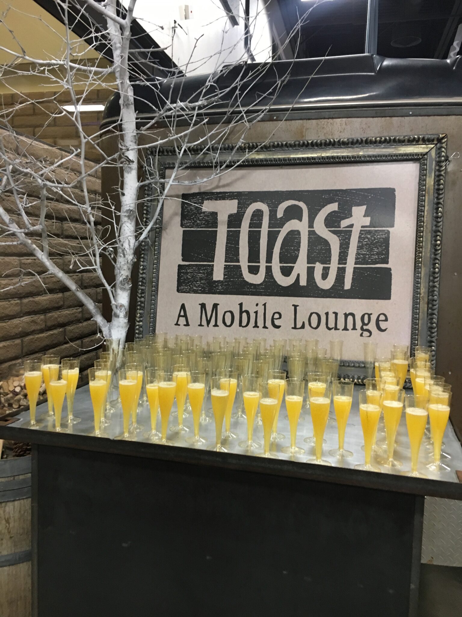 Toast Mobile Lounge | Mobile Bar Durango